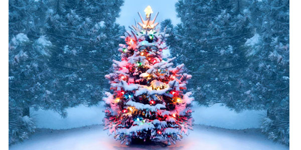 რატომ ვრთავთ ნაძვის ხეს? – Artinfo.ge